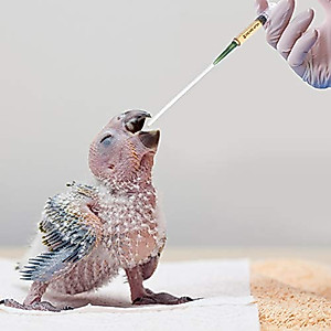 POPETPOP 3pcs Young Birds Feeding Syringe Plastic and Perspex Material for Feeding Milk for Young Birds or Feeding Medicine for Sick Birds