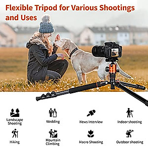 VICTIV Camera Tripod 81 inches Monopod, Heavy Duty Tripod for DSLR, Professional Aluminum Tripod with 360 Degree Ball Head and Carry Bag for Travel and Photograghy, Compatible with Canon Nikon Sony