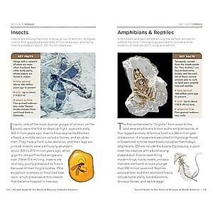 National Geographic Pocket Guide to Rocks and Minerals of North America (Pocket Guides)