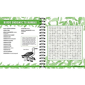 Brain Games - Birds Word Search Puzzles