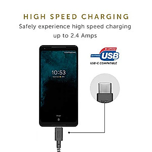 Native Union Belt Cable XL USB-C to USB-A - 10ft Ultra-Strong Charging Cable with Leather Strap Compatible with Samsung Galaxy Z Fold4, Flip4 / S22 Ultra, Pixel 7 Pro, iPad Pro, Air 5, Mini 6 (Zebra)