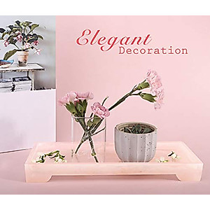 Lewondr Vanity Tray, Resin Decorative Tray Cosmetics Organizer Bathtub Bathroom Catchall Tray Countertop Closet Dresser Storage Tray for Arranging Perfume Jewelry Toiletry Makeup Brushes - Ink Pink