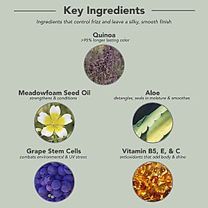 FRAMESI Smooth Shine Sulfate Free Shampoo for Color Treated Hair, 16.9 Fl Oz