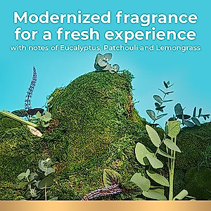 Irish Spring Deodorant Bar Soap, Original, Green Irish Spring, 11.1 Ounce