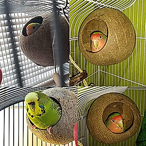 OMEM Bird Coconut House,Hamster House,Coconut Shells can Fixed in Bamboo, Birdcages, Hamster Cages (L)