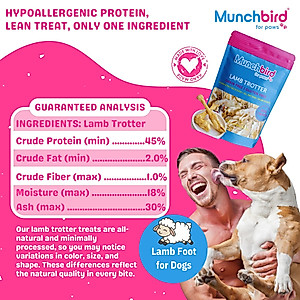 Lamb Trotter Dehydrated Dog Treats Glucosamine Lamb Treats for Dogs Chondroitin Hips and Joints Lean Hypoallergenic Protein Rawhide Free Safe Bones Alternative to Duck Feet Lamb Ears (12 to 16 Pieces)