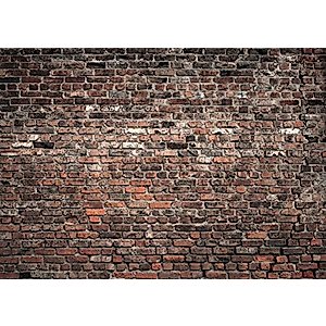 LTLYH 7x5ft Red Brick Wall Photography Backdrop Vintage Theme Stone Brick Design Photography Banner Background Decoration 135