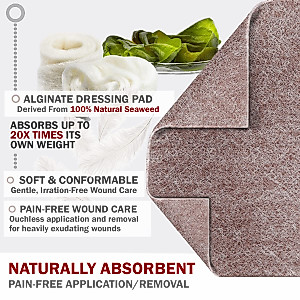 EVERLIT AG Silver Calcium Alginate Wound Dressing | Absorbent Non-Stick Sterile Dressing Pad | Gentle Hemostatic Gauze with Natural Gelling Fiber for Wound Care (4" x 4" | Pack of 10)