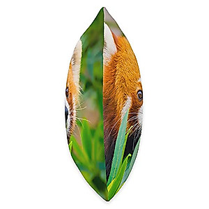 Red Panda Gifts Red Panda Throw Pillow, 18x18, Multicolor