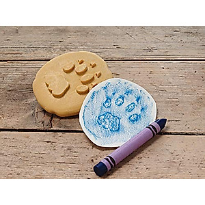 Yellow Door Safari Footprints