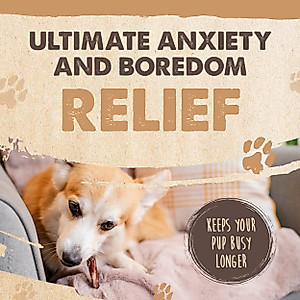 Mighty Paw - Beef Gullet Sticks for Dogs (6 Inch - 30 Pack) | Premium Beef Esophagus Dog Treats. Gullet Sticks, Ideal for Large and Small Dogs Teething and Light Chewing. Rawhide Free, Bulk Dog Chews