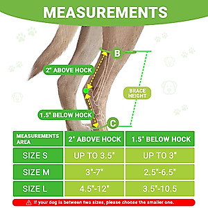 CATUPUNIS 2PCS Dog Braces for Back Leg for Support. Dog Arthritis Brace. Hind Leg Support for Dogs. Leg Brace for Dogs Back Leg. Dog Leg Brace. Dog Back Leg Support Brace. Dog Hock Brace Rear Leg (L)