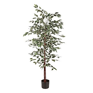 Ficus Artificial Tree - Fake Plant with Variegated Leaves and Natural Trunk - 5-Foot-Tall Topiary Decor for Indoor or Outdoor Use by Pure Garden