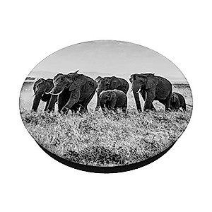 Elephants PopSockets PopGrip: Swappable Grip for Phones & Tablets