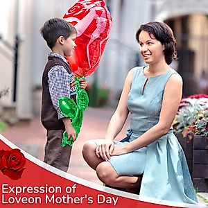 6 Pieces 37 Inch Valentines Day Balloon Rose Flower Balloons Red Rose Shaped Foil Balloon Rose Foil Balloons for Wedding Valentine's Day Graduation Birthday Baby Shower Party Decoration