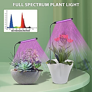 Juhefa Grow Light for Indoor Plants Growing, Red Blue Full Spectrum Gooseneck Sunlight Plant Lamp for Seedings Succulents Small Plants, Timer Function with 5-Level Brightness