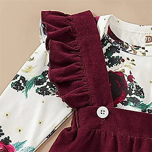 PATPAT Newborn Infant Baby Girl Clothes Outfit Long Sleeve Romper Top Overall Dress Suspender Skirt Set for 0-3 Months