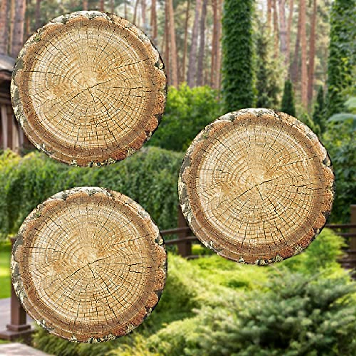Havercamp Cut Timber 10" Party Plates (24 plates)! 24 Lg. Round Dinner Paper Plates from the Cut Timber Party Collection.