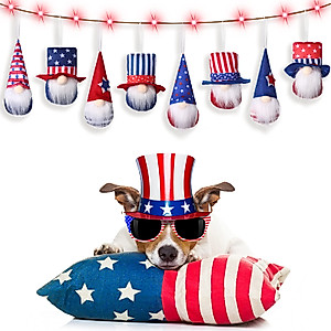 8 Pieces Patriotic 4th of July Gnome Ornaments American Independence Day Decorative Plush Dolls USA Classic Hanging Gnome with 6.6 Feet LED Light Chains for Home Garden Decoration, 8 Styles