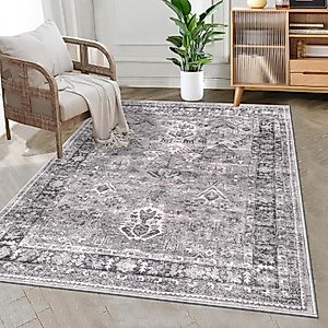 HEBE Washable Area Rug 3x5 Entry Rug Soft Distressed Area Rugs Non Slip Indoor Door Mat Boho Rug Oriental Accent Throw Rug Floor Carpet for Bedroom Kitchen Entryway Bathroom