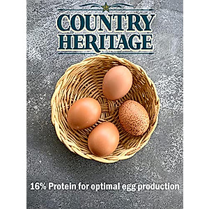 CountryMax Hen Egg Layer Pellet 16% Chicken Feed 50 Pounds