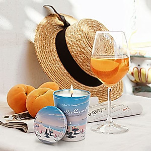 2 Pack Citronella Candles Outdoor Indoor, 110 Hours Soy Wax Citronella Candles Set, Portable Scented Candles for Beach Garden Camping Patio Backyard Accessories