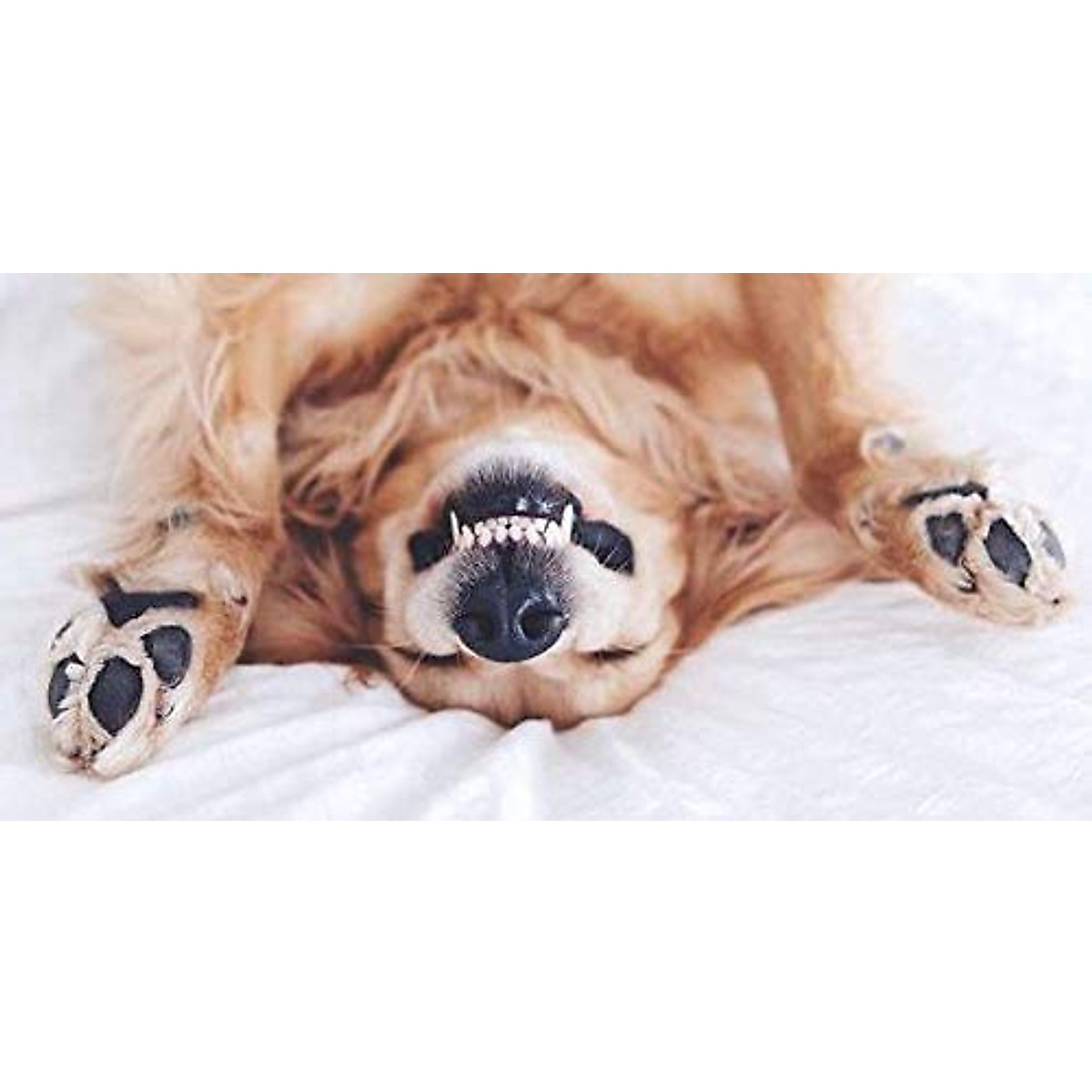 Dog Dental Chews Large - Dog Teeth Health Formula - Natural Gum Care - REMOVES Plaque Build UP - FRESHENS Breath - Dog Vitamin b Supplement - 2 Bottles (120 Treats)