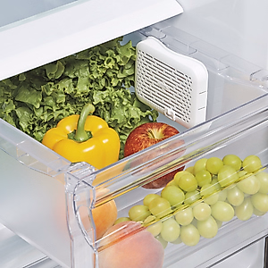 OXO Greensaver Crisper Insert 1-Pack