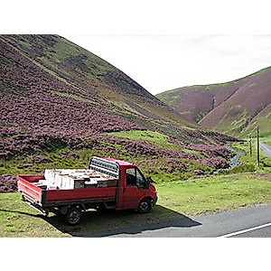 Mellis Scottish Blossom Honey, 12- Ounce Jar