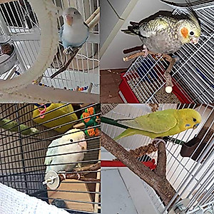 PINVNBY Bird Perch,Parrot Perches Stand Natural Peach Wood Fork Parakeet Birdcage Paw Climbing Stands Cage Toy Accessories for Conures,Lovebirds,Budgies,Cockatiels and Finches(10 Pcs)