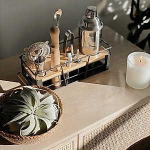 Mixology Bartender Kit with Stand | Home Bar Set with 25 Cocktail Recipes for Drink Mixing | Ideal Bartending Kit for Housewarming Gift | Premium Martini Cocktail Shaker Set with Bar Tools Accessories