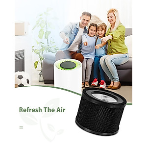 2-Pack TT-AP001 Filter Replacement for TT-AP001, VAVA VA-EE014 Air Purifiers, Replace TT-AP001SPF，H13 True HEPA Filter