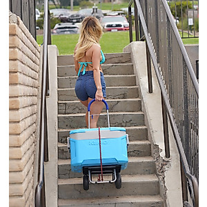 dbest 01527 Bigger Trolley Dolly, 16"14"40", Blue