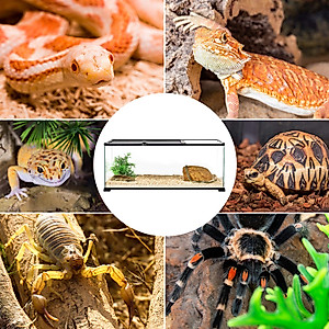 REPTI ZOO 20 Gallon Reptile Glass Terrarium Easy Clean Tank 30" x 12" x 12" Dual Top Sliding Top Cover for Reptile Snake Hamster Hedgehog Small Animals (Knock-Down)