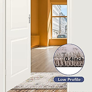 wxnzsl Area Rug 2x3 Washable Rugs Non Slip Vintage Low Pile Rug,Small Boho Accent Entryway Rug for Living Room Bedroom Kitchen Bathroom -Beige