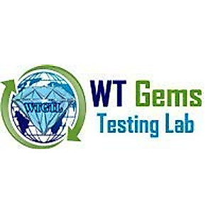 LMDPRAJAPATIS 8.10 Carat Natural Gomed Astrological Purpose German Silver Ring For Women's