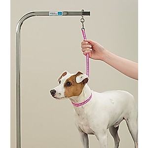 Top Performance Basic Grooming Loops - Versatile Nylon Loops to Secure Dogs on Tabletops While Grooming - 18", 4-Pack