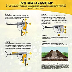 Cinch Gopher Trap with Tunnel Marking Flag, Heavy Duty Reusable Rodent Trap System, Gopher Trapping Kit for Outdoor Garden Lawn with Gardening Gloves and Tunnel Cleaning Tool, 3 Pack, Large