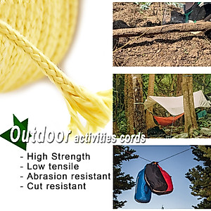9KM DWLIFE Braided Kevlar Cord, 500lb 2mm 200Ft, High Tensile Strength, Abrasion, Flame Retardant, Kite String, Fishing Line, Model Rocket Shock, Hammock Tarp Ridgeline, Tactical Survival Paracord