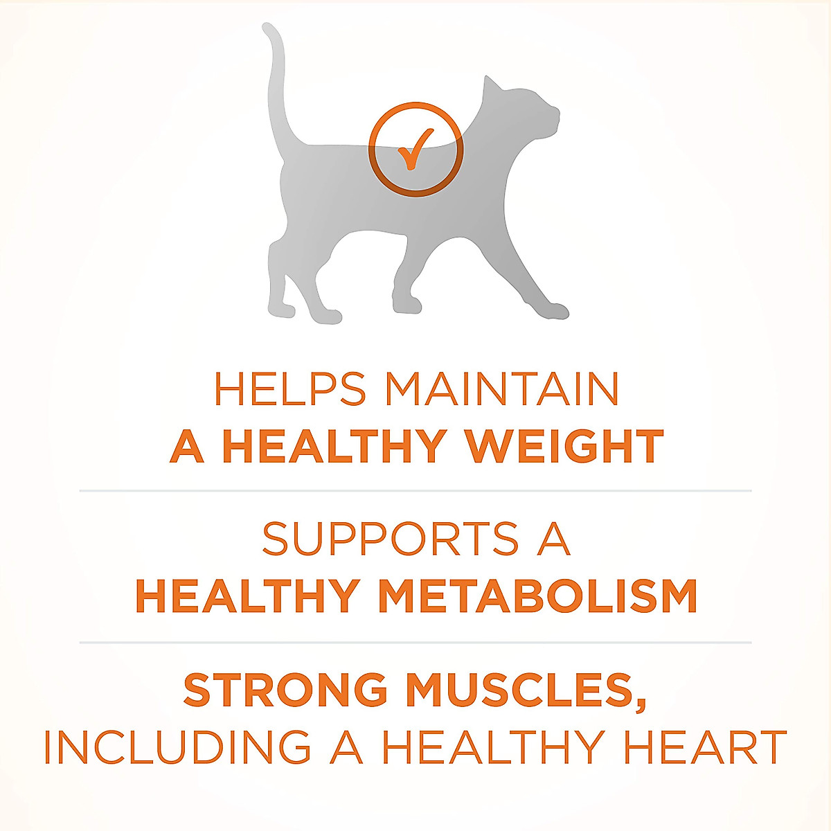 Purina ONE High Protein, Healthy Weight Dry Cat Food, +Plus Ideal Weight With Turkey - 7 lb. Bag