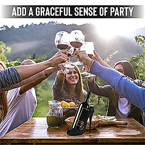 Trovety Shoe Wine Rack Holder- Bottle Wine Not Holder with High-Heel Design - Display & Storage Accessories - Table Centerpiece & Home Decorations for Kitchen, Restaurant, Bar, Hotel (Black)