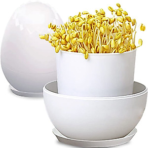 LeJoy Garden Seed Sprouter,Egg Shaped Germination Pot,BPA Free Soil-Free Healthy Wheatgrass Grower with Lid,Cretive Design Sprouting Kit