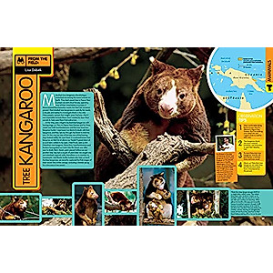 National Geographic Kids Animal Encyclopedia, 2nd Edition: 2,500 Animals with Photos, Maps, and More!