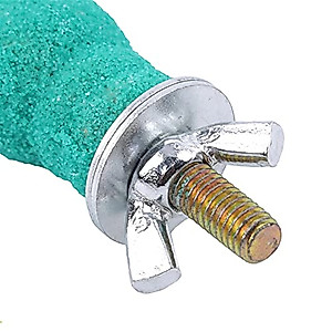 ShanLily Bird Perch Rough-Surfaced Nature Wood Stand Toy Branch for Parrots Promote Healthy Feet - Safe and Non-Toxic, for Bird Cages,Green 16Cm