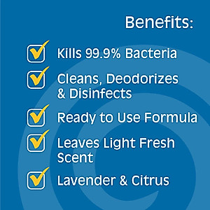 Gonzo Disinfectant Spray & Multipurpose Cleaner - 24 Ounce (2 Pack) Citrus - Odor Eliminator, Disinfectant, Flood Fire Water Damage Restoration