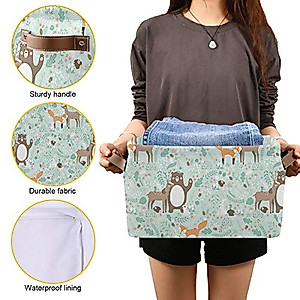 Storage Basket Cube Forest Animal Bear Fox Flower Large Collapsible Toys Storage Box Bin Laundry Organizer for Closet Shelf Nursery Kids Bedroom,15x11x9.5 in,1 Pack