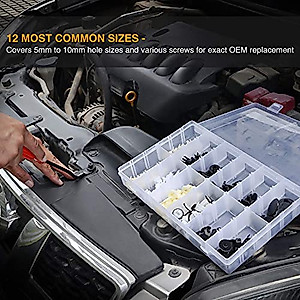 GOOACC 166 Pcs Car Retainer Clips &Screw Grommets - 12 Most Popular Sizes & Applications for GM Toyota Honda Nissan Mazda - Bonus Fastener Remover