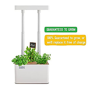Back to the Roots Hydroponic Grow Kit, Indoor Garden (Matte White), Organic Seeds Included, Gardening Gift, Everything Included