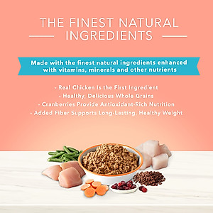 Blue Buffalo True Solutions Adult Healthy Weight Wet Dog Food, Made with Natural Ingredients, Weight Control Formula, Chicken, 12.5-oz Cans (12 Count)