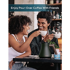 INTASTING Gooseneck Electric Kettle Hot Water Boiler Pour Over Coffee and Steeping Tea, 304 Stainless Steel, 0.9L/30oz, Auto Shut-Off & Boil Dry Protection, Matte Green with Dark Brown Wood Handle